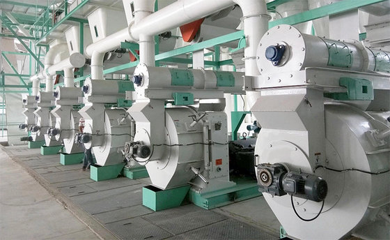 Organic Fertilizer Manure Alfalfa 10TPH Wood Pellet Production Line