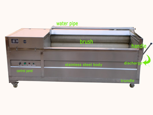 Potato Carrot Lemon 800-5000kg/H Fruit Washing Machine Ginger Vegetable Washer