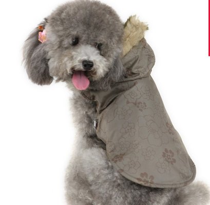 Eco-Friendly winter medium dog clothes with cotton size XS for Yorkie , Chihuhua