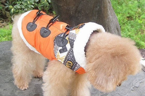 Luxury Knitted Small Dog Hooded Sweatshirts And Coats Pet Garment Lightweight