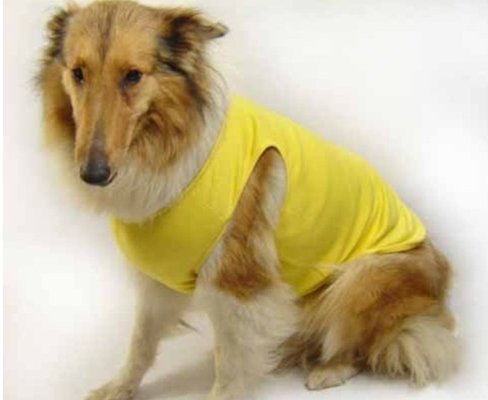 100% Cotton Summer medium Dog's vest clothes yellow color for collie