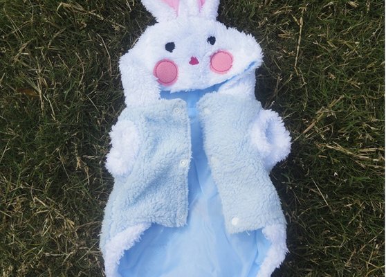 Pet Jumpsuits Light Blue / Pink color , Lovely Rabbit Style medium dog shih tzu clothes