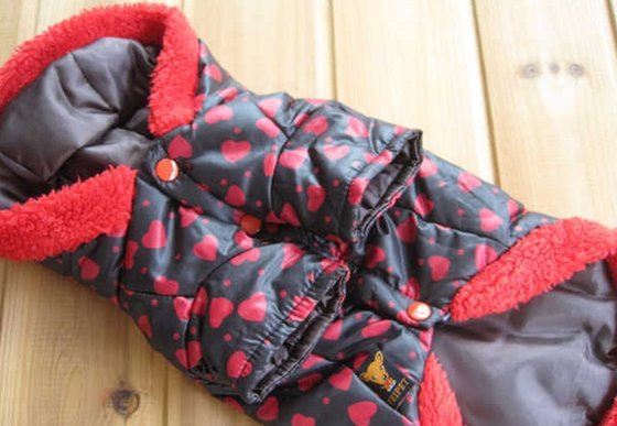 Autumn , Winter Cotton Mid-Size Medium Dog Clothes for Puppys Bichon Frise