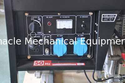 Diesel Generator PME8000CL(E)