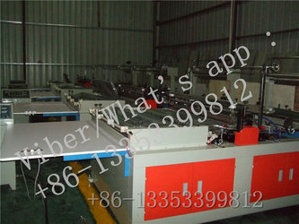 Ruixin Shunfeng Packaging Machinery Co., Ltd
