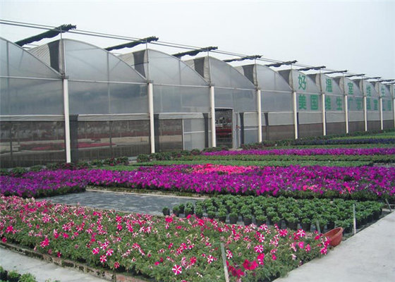 Greenhouse Coverings Polyethylene Film UVA Diffused 0.06mm-0.14mm Thickness
