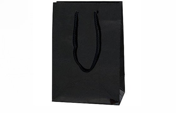 Durable Retail Paper Shopping Bags for Packaging Printed Paper Merchandise Bags