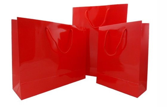 CE Approved Large Nylon Rope Luxury Paper Shopping Bags For Gift