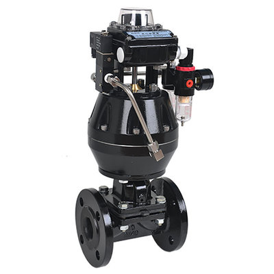 Pneumatic Rubber Lined Diaphragm Valve