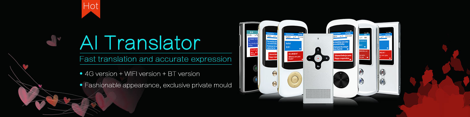 Portable Voice Translator