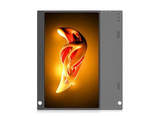 300 cd/m2 13.3" Portable Gaming Monitor 1080P Multiple OSD Language