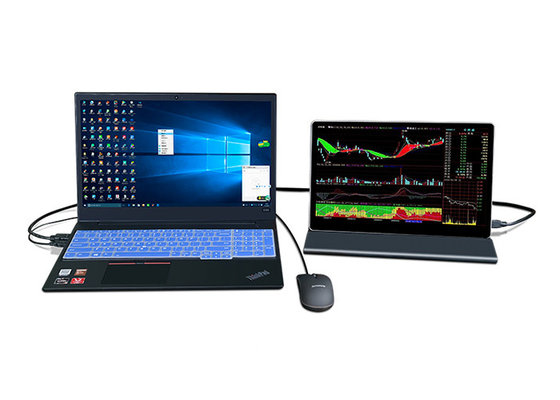1920*1080 10 Point Touch Portable Monitor 15.6 Inch IPS Screen Plastic Case
