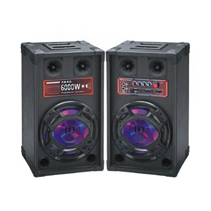 10 Inch Subwoofer Portable Bluetooth Battery Powered PA Speaker For Home Party