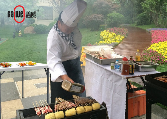 Rectangle Lightweight Folding Table For Outside BBQ HDPE Frame Material