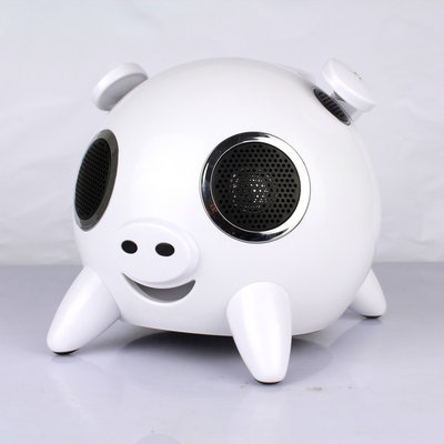 Bluetooth 2.1 Portable Speakers With Sd Card White Color For Laptop