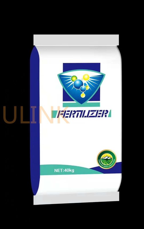 Customized New Design Polypropylene PP Woven Laminated Bag for fertilizer