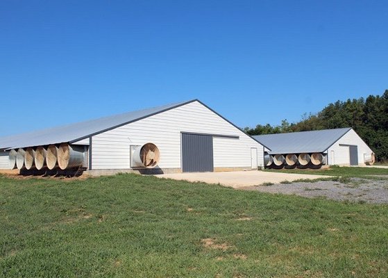 Modern Gabled Steel Structure Poultry House / Chicken Broiler House Easy Assembled