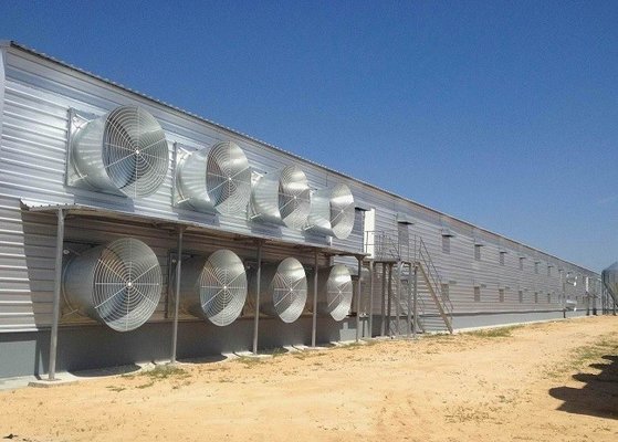 Prefab Light Steel Structure Poultry House Poultry Shed Construction With Control Room