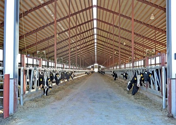 Steel Structure Rotary Milking Parlor / Livestock Shelter Kits Bolts Connection