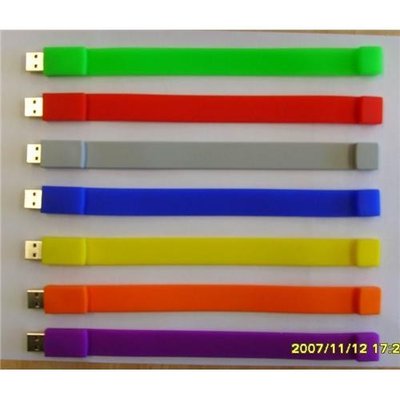 設置済み実質 USB が付いているプラスチック多彩なバンド/注文のプラスチック バンド