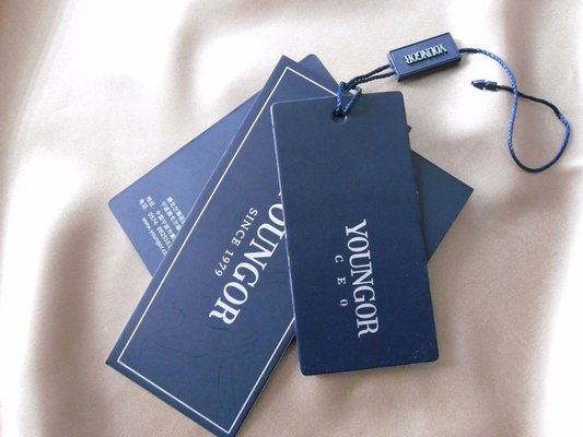 Etiquetas colgantes del papel azul de la ropa recicladas modificadas para requisitos particulares imprimiendo el logotipo