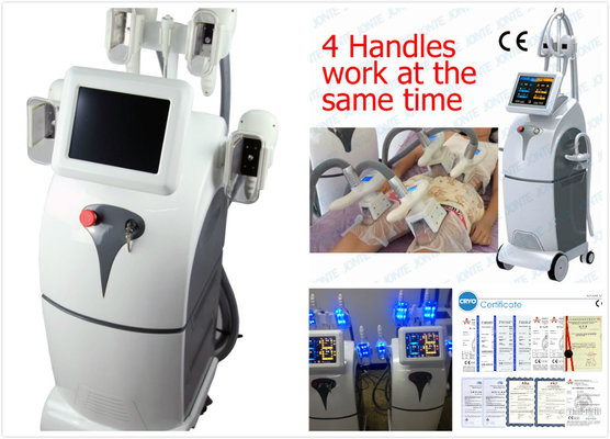 Vertical Cryolipolysis Body Slimming Machine , Safe Fat Burning Equipment