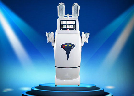 Vertical Cryolipolysis Cavitation Machine for Weight Loss , Fat Reduce Machine