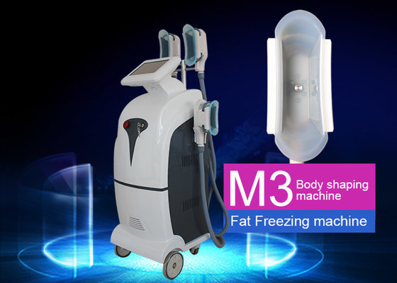 Vertical Loss Weight Machine Cryolipolysis Body Slimming Machine With Vacuum