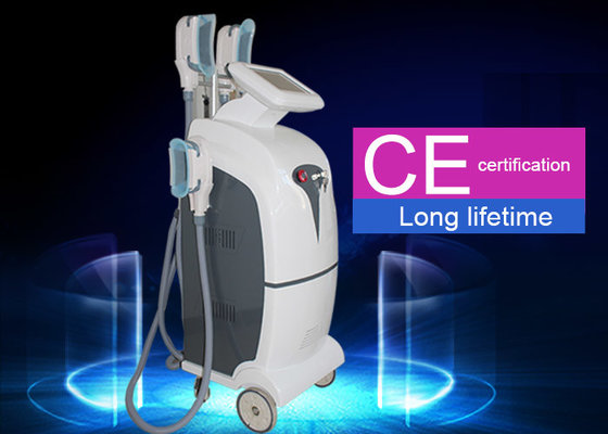 Vertical Cryolipolysis Slimming Machine 2000W 5 Handles With RF and Cavitation handle