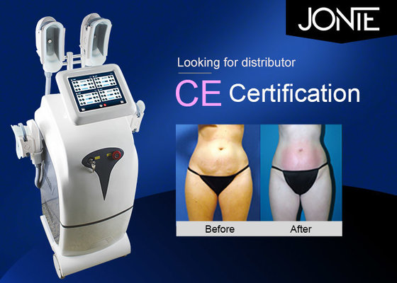 Cryolipolysis Fat Freeze Slimming Machine With FOUR Handpieces cryolipolysis