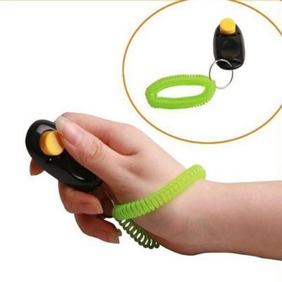 Pet Trainer/Clicker