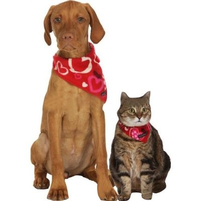 Pet scarf, Customized pet scarf