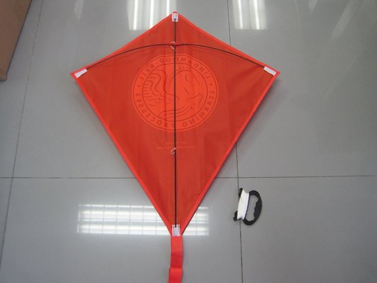 190T polyester promotion kite, parafoil kite