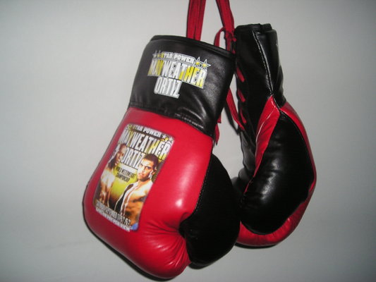 Lace Up PU Sparring gloves