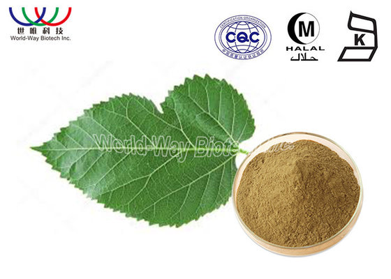 Weight Loss Mulberry Bark Extract  , Water Soluble White Mulberry Leaf Extract 1000 Mg