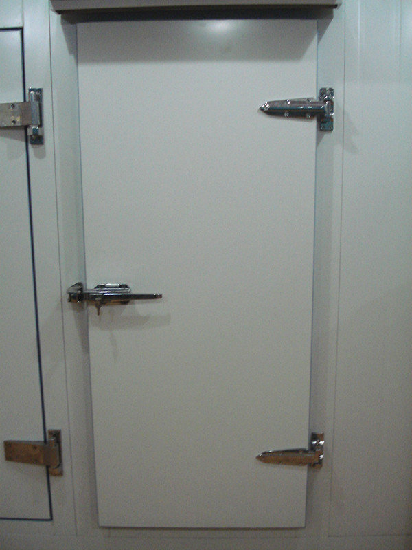 1 * 2.2m Cold Room Swing Door with PU 100mm / Semi-hinged & full hinged