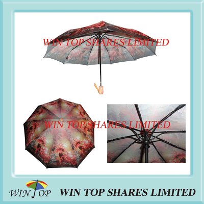 China 9 Ribs Flower Hot Transfer Lady Umbrella supplier