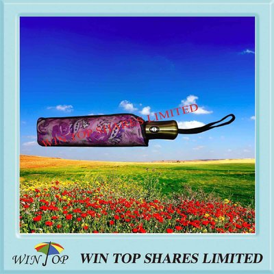 Chinese Super Luxury Full Auto Folding Umbrella supplier