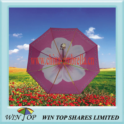 21" Colorful Full Auto Open Umbrella with Rainbow Frame supplier