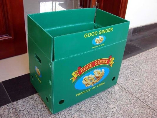 pp foldable corrugated plastic hollow box/pp hollow box for storage and turnover