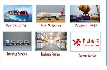 container sea shipping /ocean  shipping /air  shipping   from China  to  America