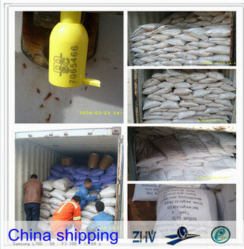 shipping  agent /shipping  company  from Shenzhen/Guangzhou/Xiamen