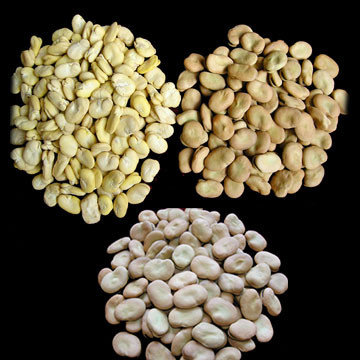Ld Series Belt Color Sorting Machine For Cashew , Beans , Dry Garlic , Vegetables , Fruits