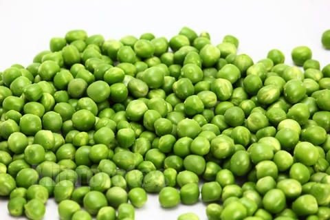 Ld Series Belt Color Sorting Machine For Cashew , Beans , Dry Garlic , Vegetables , Fruits