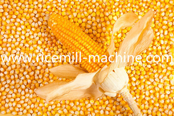 High Efficiency Rice Mill Machinery Spare Parts SFSP60X60 Model