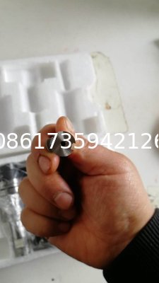 High Quality Diesel  Pump T Plunger BOSCH 2 418 455 535/2455 535,PS7100 Bosch Plunger