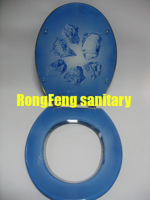 poly toilet seat,17'18'19',zinc alloy hinge,S/S hinge,soft close hinge