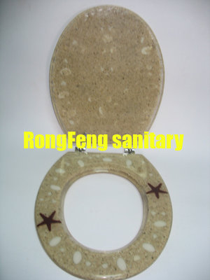 sea star shell toilet seat