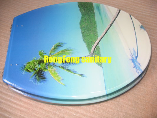 resin toilet seat cover,sanitary ware,hinge,MDF,PVC,PP,toilet,duroplastic toilet,body pic