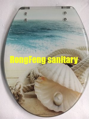 inner paper design tranparent  polyresin  toilet seat with Zinc alloy hinge